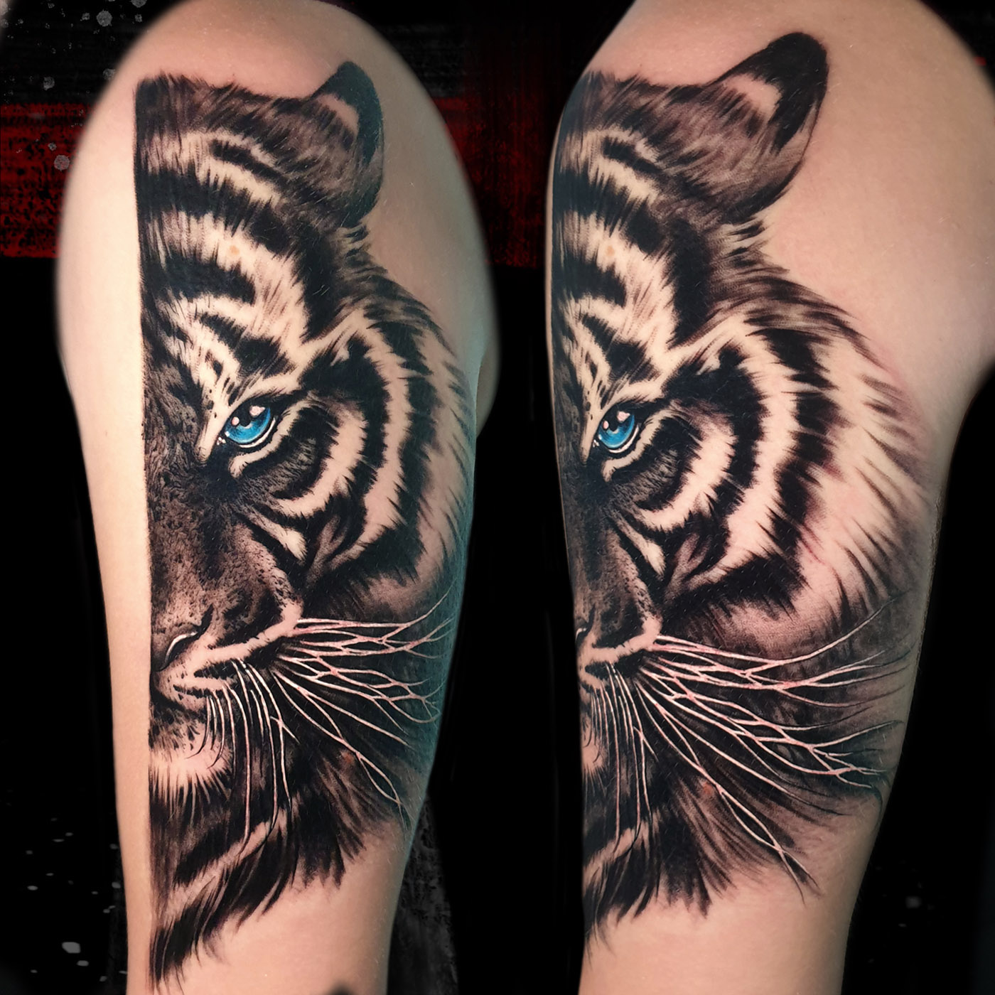 Tigre • Sick Nurse Tattoo by Rafa Garabal
